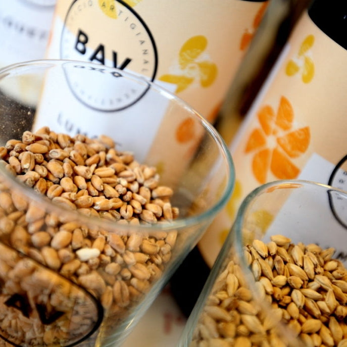 Craft Beer – Botta di Cru